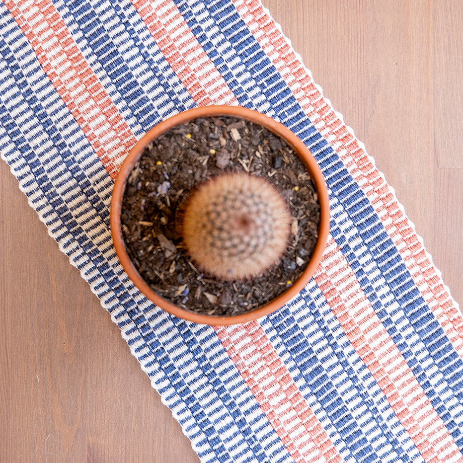 Inspired to Weave: 4-Shaft Project Collection – Schacht Spindle Company